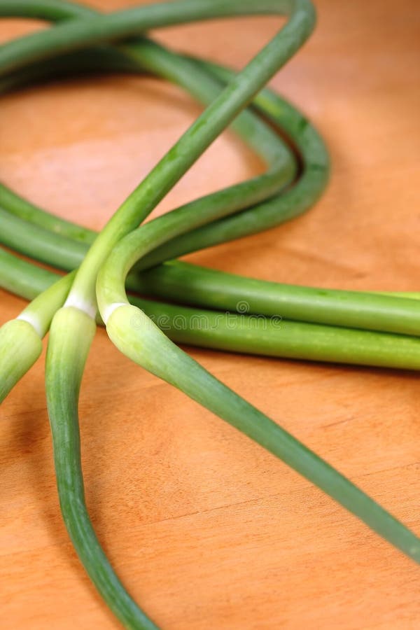 Garlic Scapes stock photo. Image of stem, garlic, fresh - 9859190