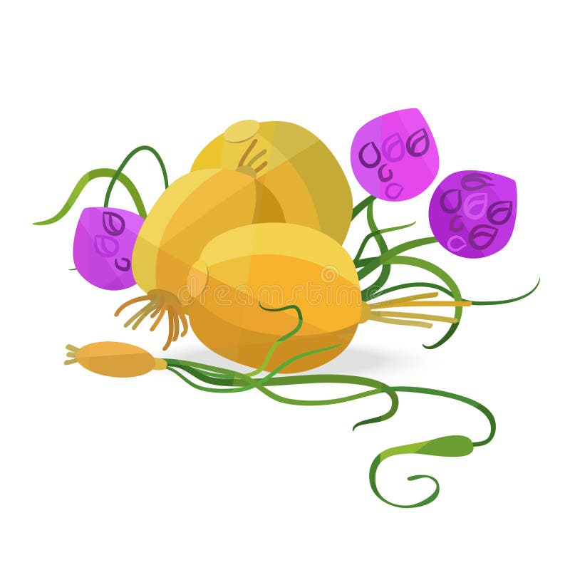 Garlic with Seeds in Origami Style Stock Vector - Illustration of ...