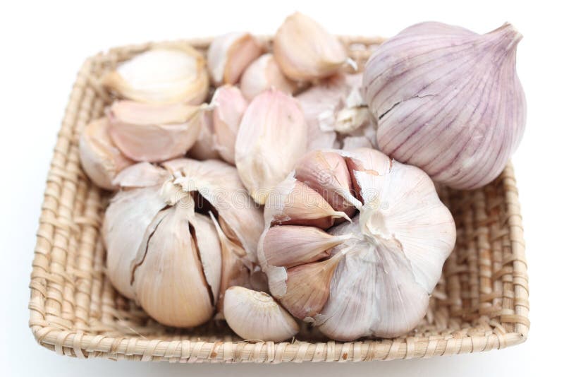 Garlic set stock photo. Image of nature, relish, light - 55097620
