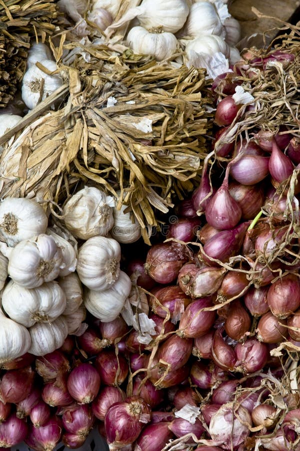 Garlic & Shallots stock image. Image of pink, fresh - 4387627