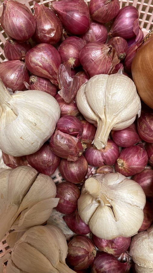 Garlic and Shallots in Basket Stock Photo - Image of food, shallots ...