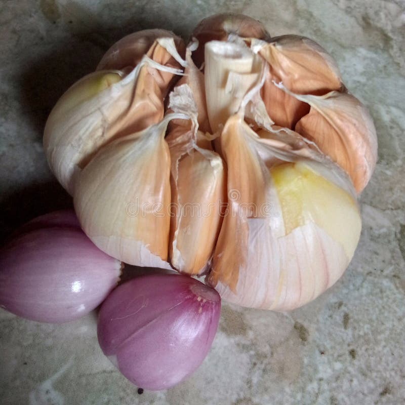 Garlic and shallots stock image. Image of dish, food - 267968359