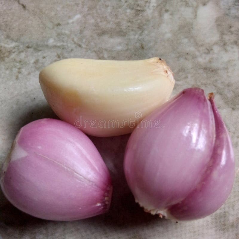 Garlic and shallots stock image. Image of cuisine, purple - 267968365