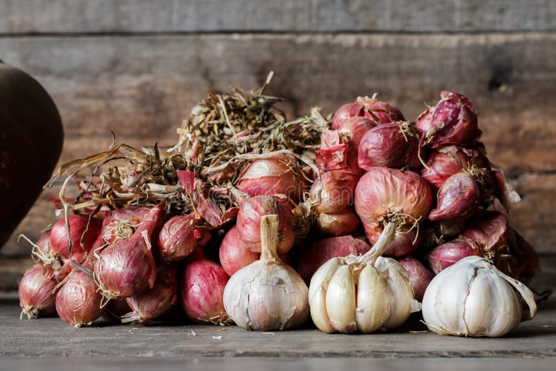 Garlic and shallots stock photo. Image of curry, diet - 67357932