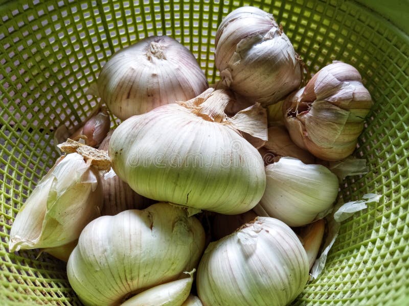Garlic Shot from High Angle Stock Photo - Image of agriculture, cooking ...