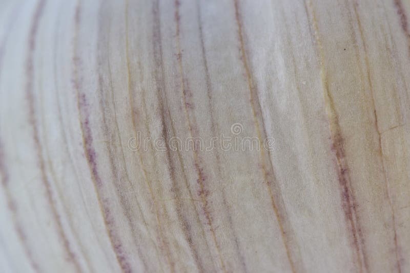 Garlic Skin Texture Picture. Image: 87855117