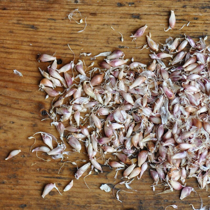 Garlic, Flax Seeds, Vegetable Pills And Omage 3 Capsules Stock Image ...