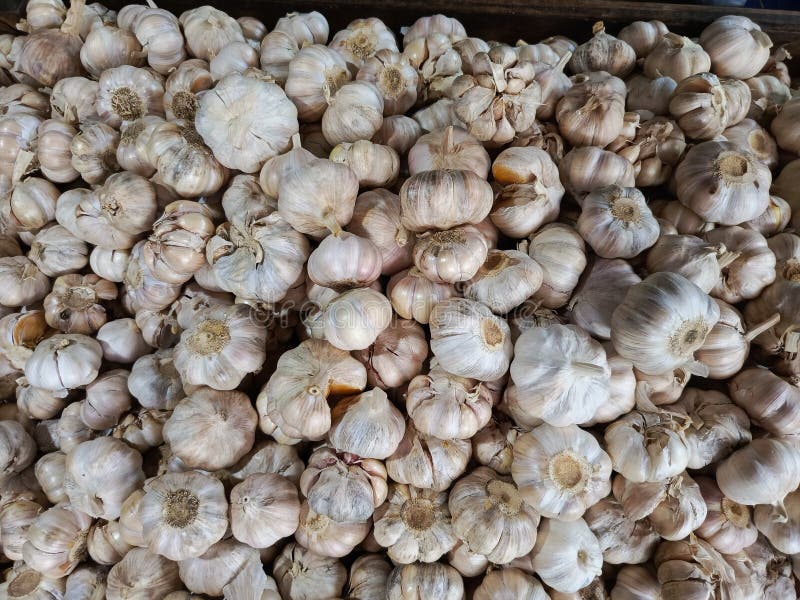 Garlic Sold in Traditional Markets for Cooking Stock Photo - Image of ...