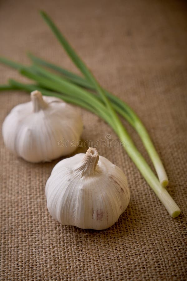 Garlic and spring onions stock image. Image of salad, breakfast - 4496057