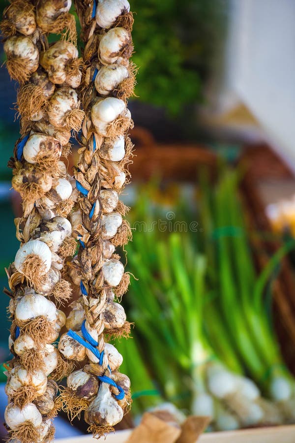 Garlic and Spring onions stock photo. Image of garlic - 89827054