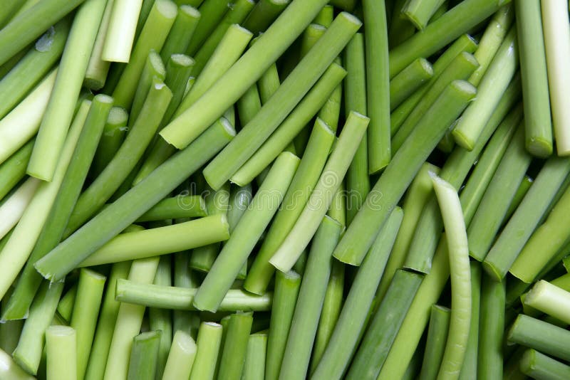 Garlic sprout stock photo. Image of stem, greenstuff - 17677708