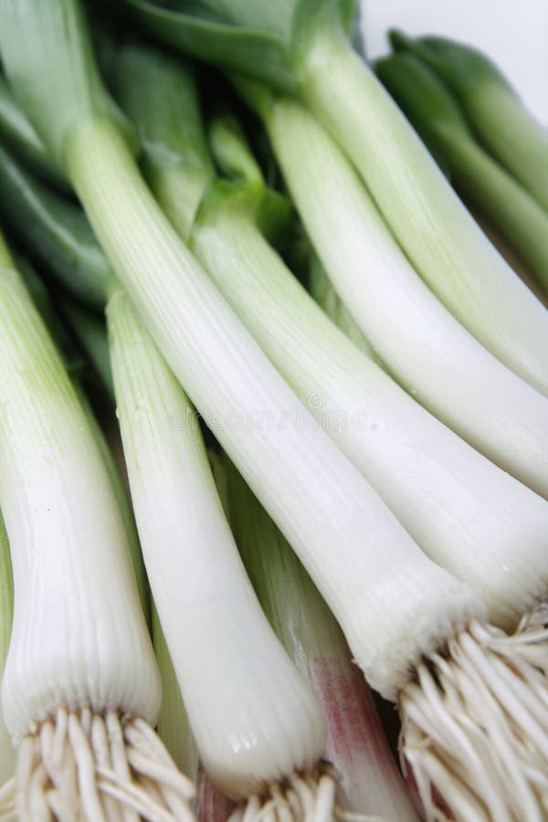 Garlic sprouts stock photo. Image of taste, seasoning - 12769026