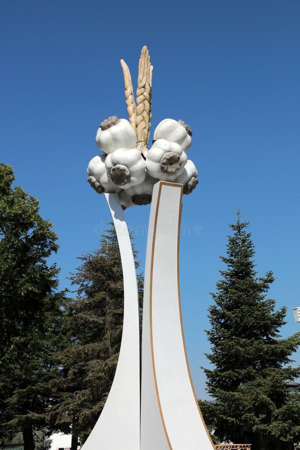 The Garlic Statue is Located in Taskopru District of Kastamonu ...