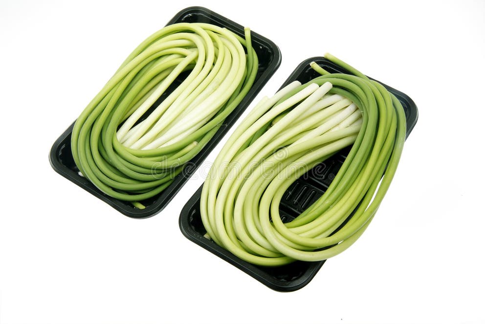 Garlic stem stock image. Image of plant, white, cook - 13942199