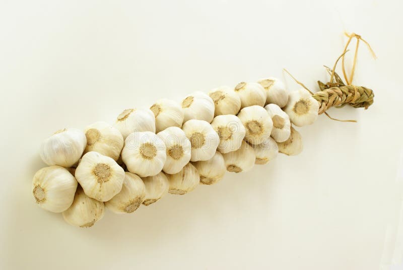 Garlic stock image. Image of healthy, flavour, green - 11373501