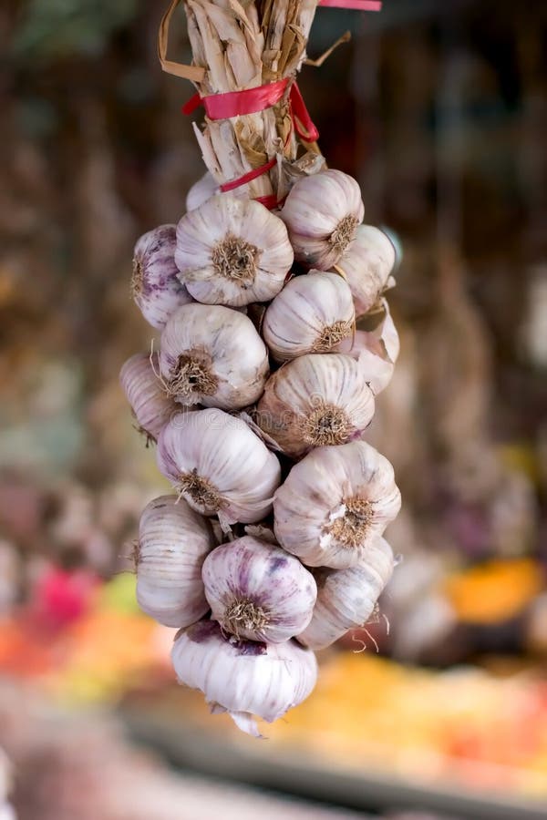 Garlic string stock image. Image of healthy, drinks, vegetarian - 15677725