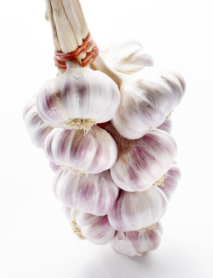 Garlic string stock image. Image of healthy, drinks, vegetarian - 15677725