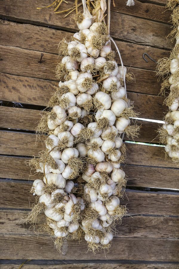 String Garlic Hanging Wooden Wall Stock Photos - Free & Royalty-Free ...