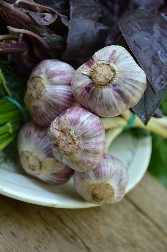 Garlic Surrounded by Several Computer-processed Herbs and Spices. Stock ...