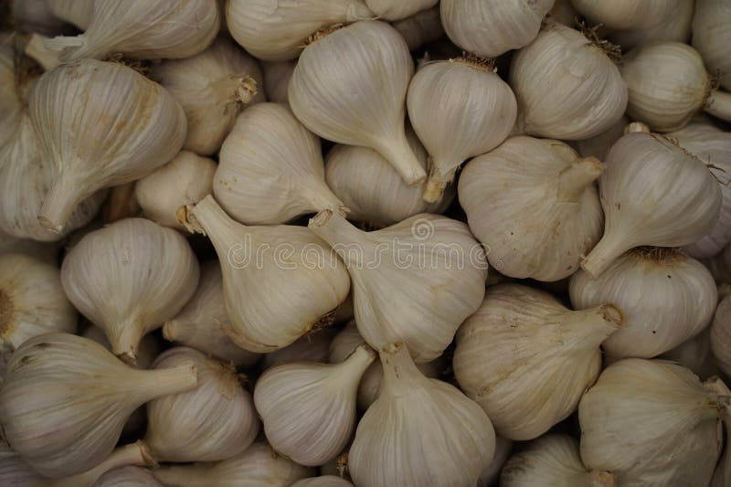 Garlic Texture Close Up Shot at Local Market Stock Photo - Image of ...