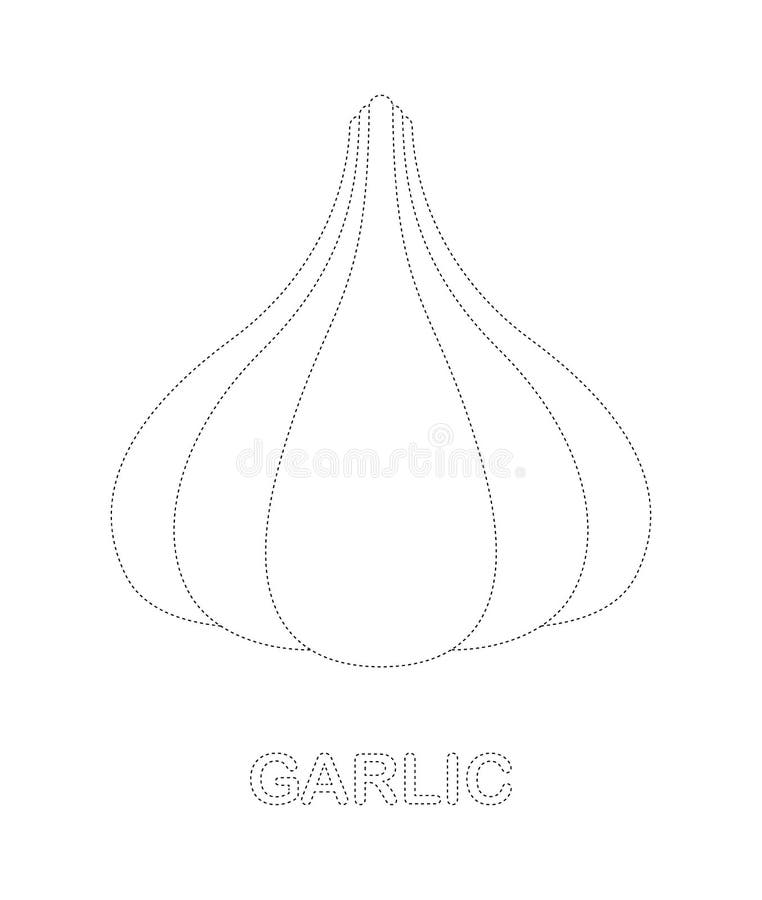 Garlic Tracing Worksheet for Kids Stock Vector - Illustration of book ...