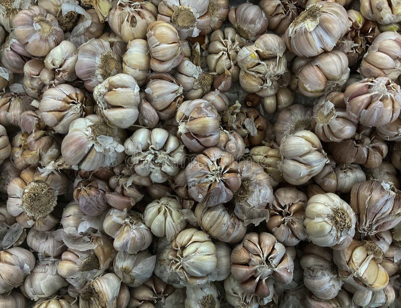 Garlic at Traditional Market in Central Java Stock Image - Image of ...