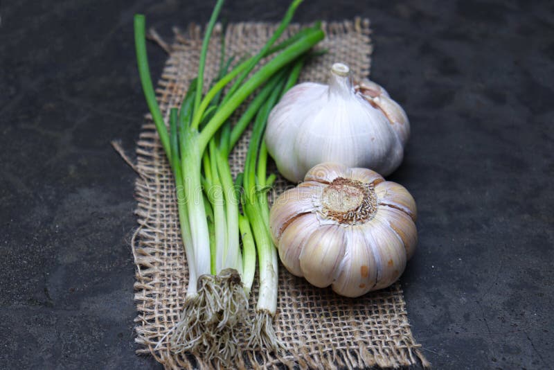 Garlic with Tree on Kitchen Stock Image - Image of isolated, plant ...