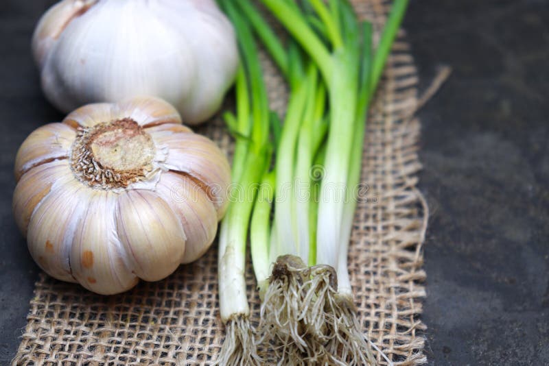 Garlic with Tree on Kitchen Stock Image - Image of aliment, kitchen ...