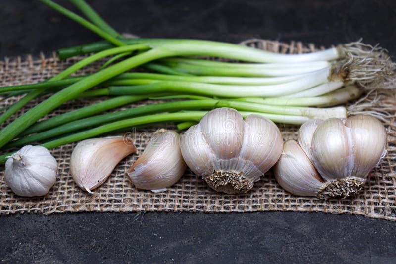 Garlic with Tree on Kitchen Stock Image - Image of garlic, root: 253066809