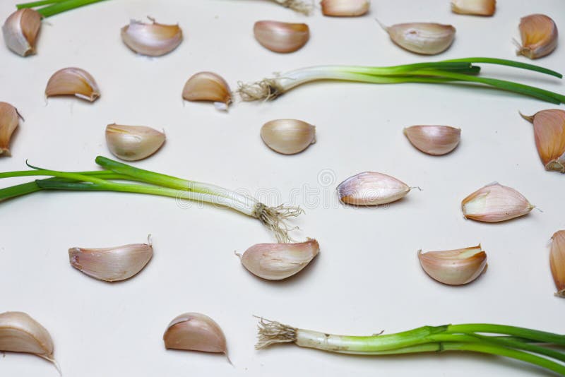 Garlic with Tree on Kitchen Stock Photo - Image of garlic, green: 253067716