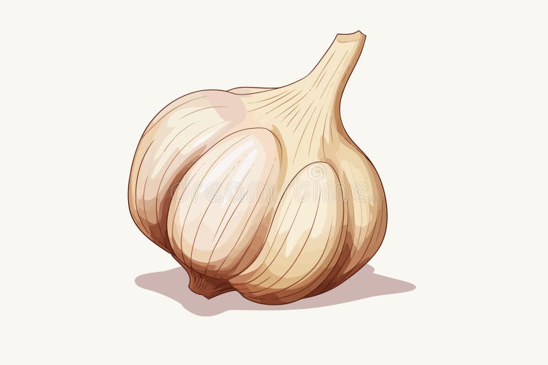 Garlic Vector Flat Minimalistic Asset Isolated Vector Style ...