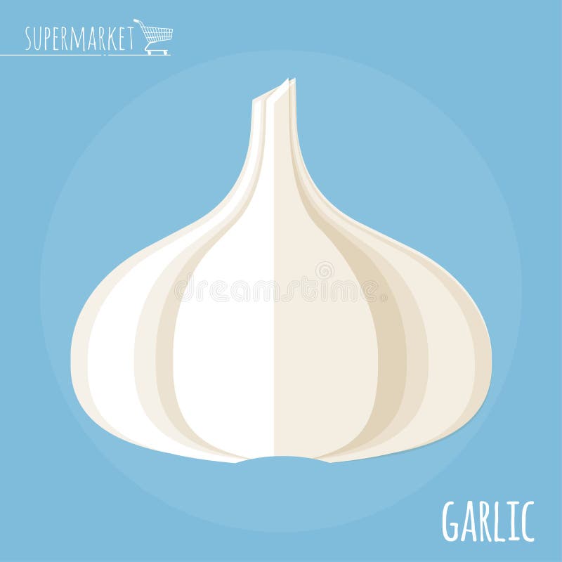 Garlic vector icon. stock vector. Illustration of object - 85312419