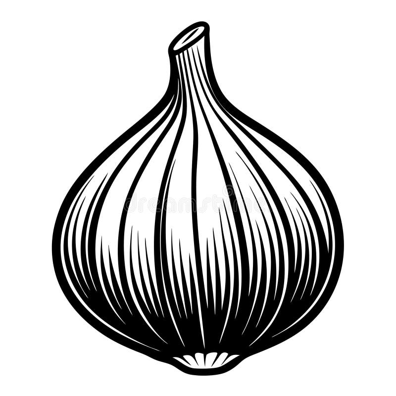 Garlic Vector Illustration High-Quality Graphic Design for Culinary ...