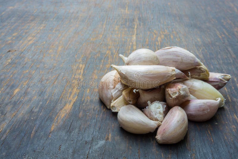 Garlic vegetable stock image. Image of healthy, bulb - 69056013