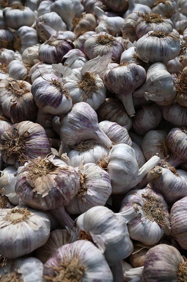 Garlic Vegetables Background Stock Image - Image of food, plant: 159263869