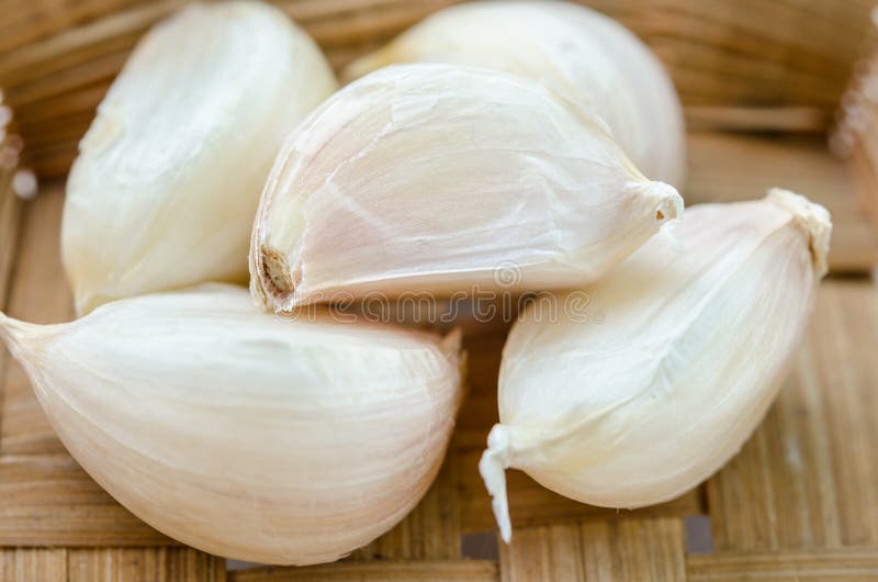 Garlic in weave basket. stock photo. Image of ingredient - 62825238