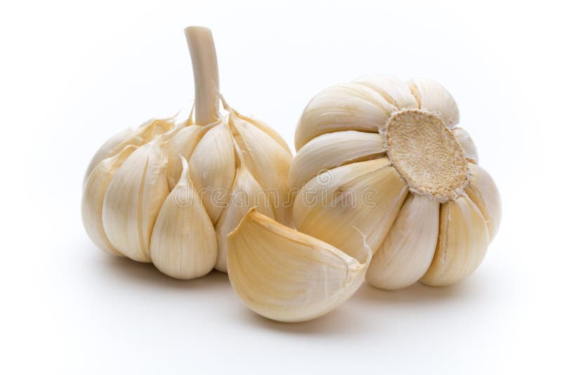 Garlic on the White Background. Stock Image - Image of garlic, object ...