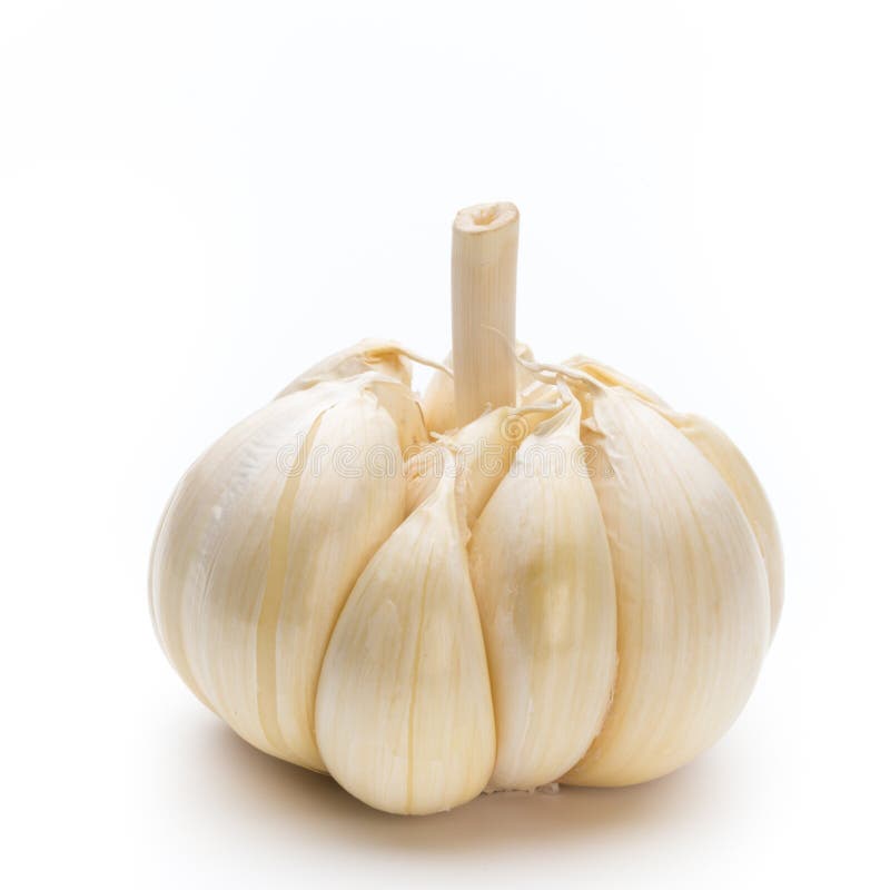 Garlic on the White Background. Stock Photo - Image of spice, garlic ...