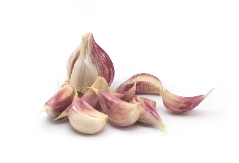 Garlic on a White Background Stock Photo - Image of green, fresh: 198459204