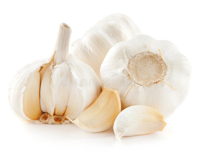 Garlic stock photo. Image of vegetable, food, spice, healthy - 46344510