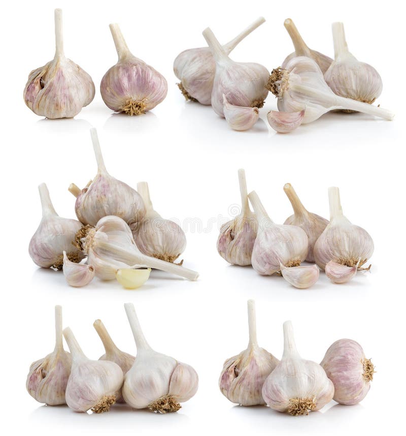 Garlic on white background stock image. Image of nutrition - 69611247