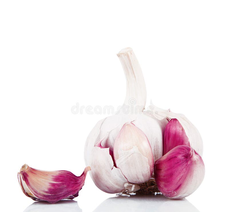 Garlic on white background stock image. Image of nature - 160920075