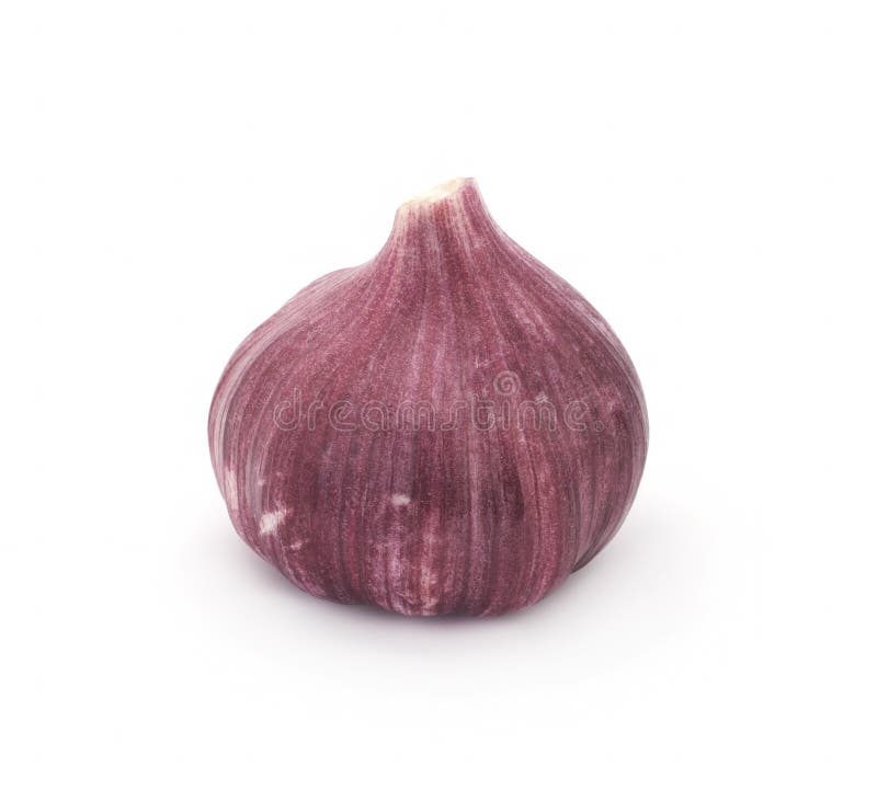 Garlic on a White Background Stock Photo - Image of ingredients ...