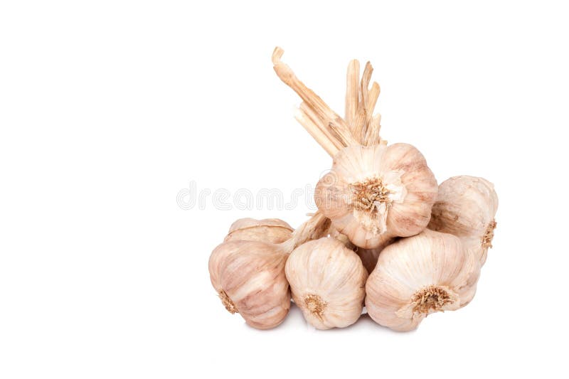 Garlic on white background stock photo. Image of seasoning - 44089926