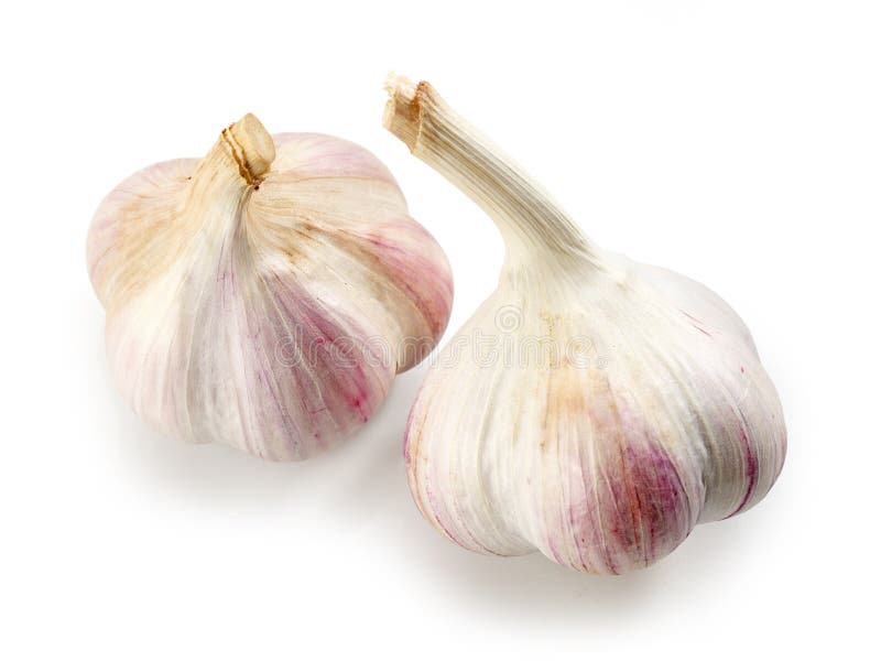 Garlic on white background stock image. Image of food - 194260889