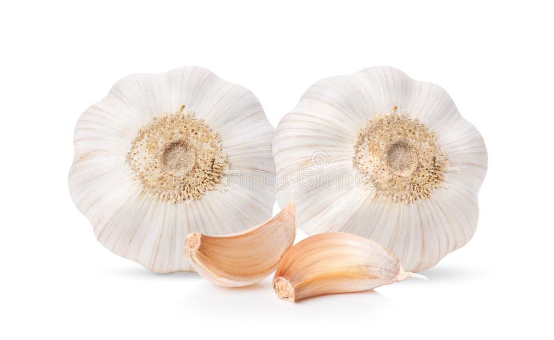 Garlic on white background stock image. Image of healthy - 229453983