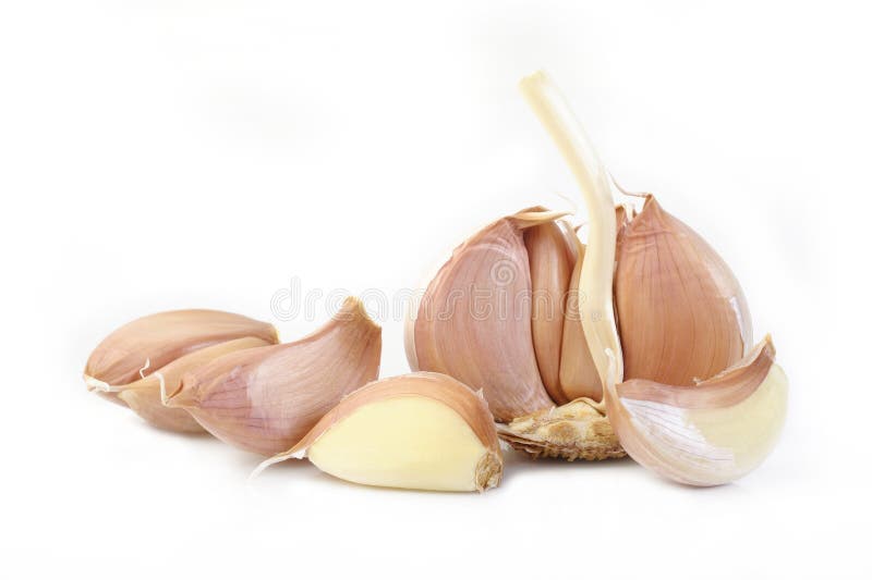 Garlic on white background stock image. Image of healthy - 54974623