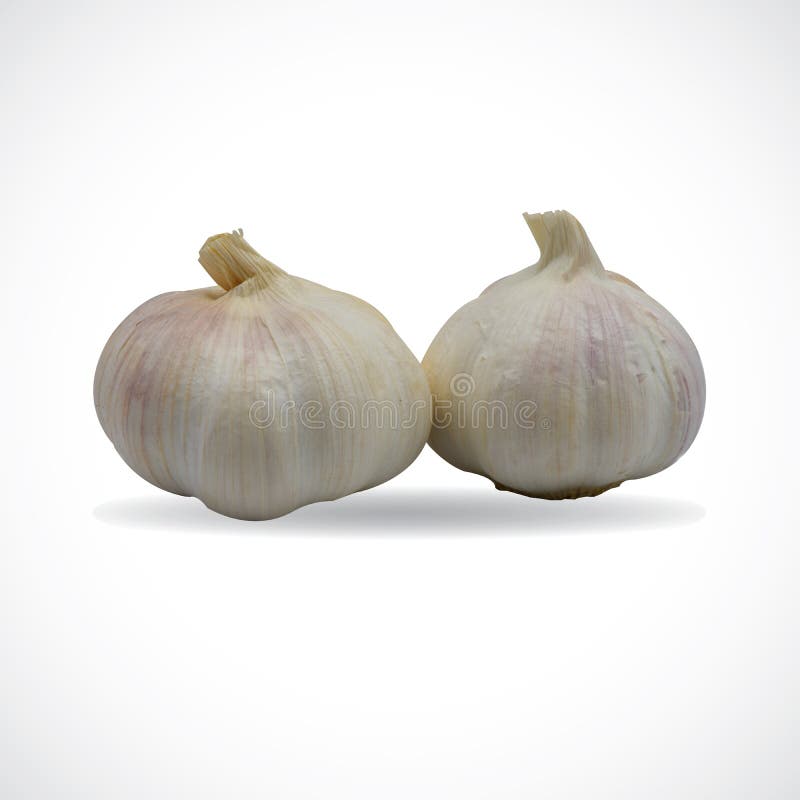 Garlic, on White Background, Top View Stock Image - Image of nature ...