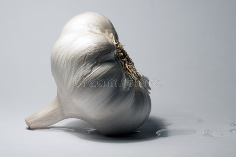 Garlic in white stock image. Image of condiments, garlicky - 159671387