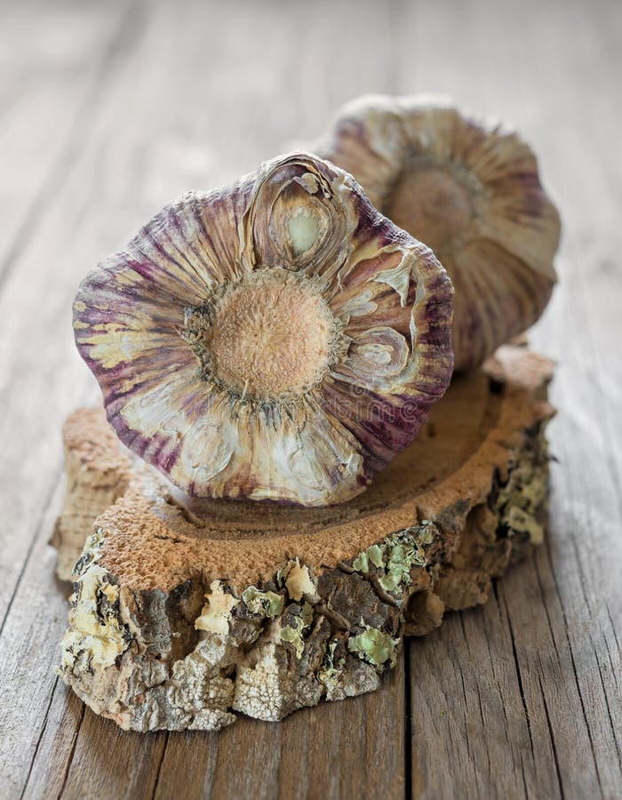 Garlic on wood stock photo. Image of vegetable, agriculture - 73448066